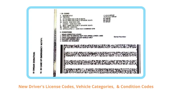 Easy to-follow checklist: How to change Driver's License Classification ...